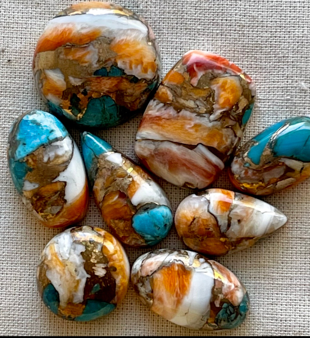 Spiny Oyster Turquoise and Bronze – The Family Stone Lapidary