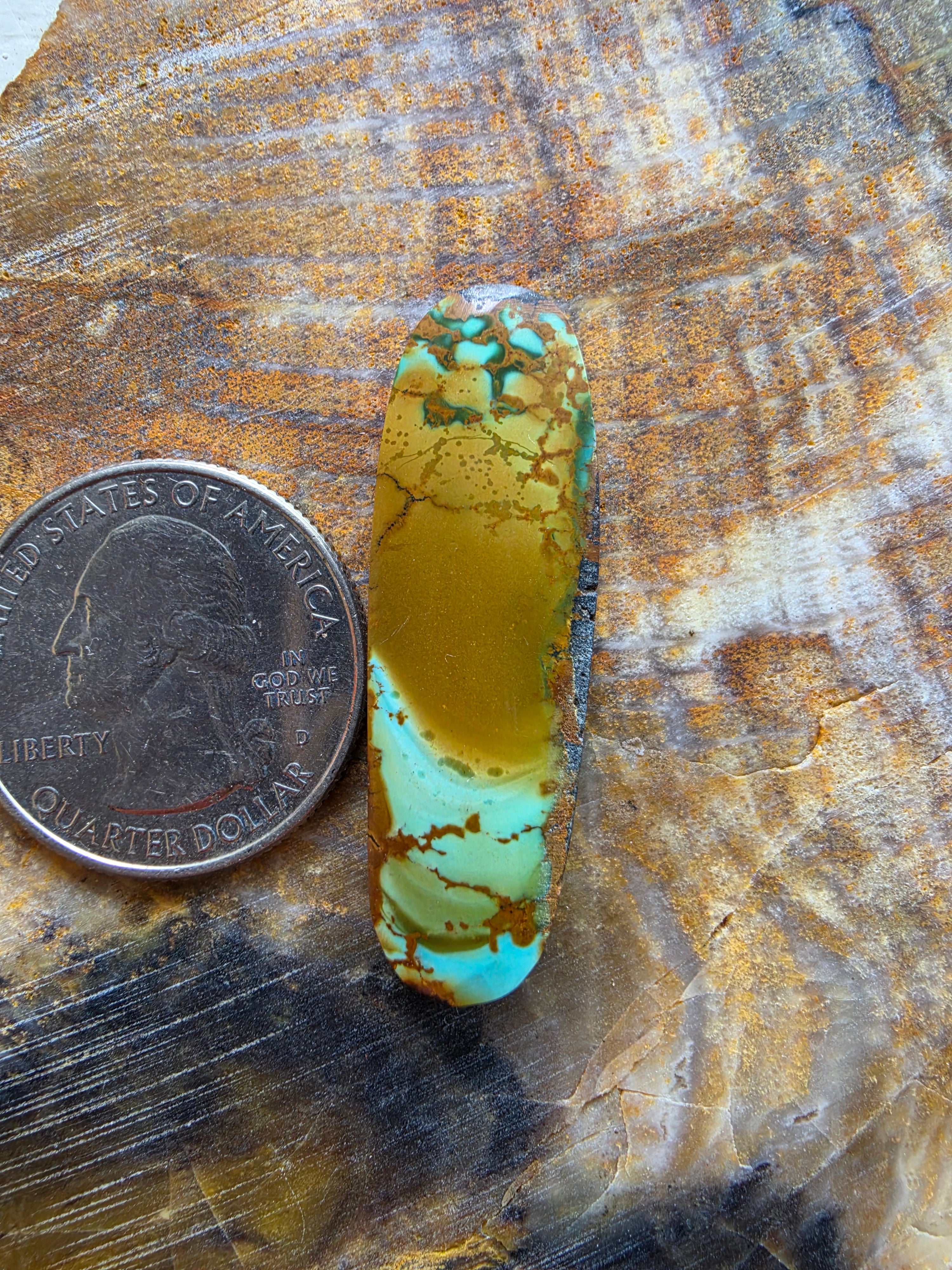 Kingman Polychrome Turquoise Freeform Cabochon – The Family Stone Lapidary