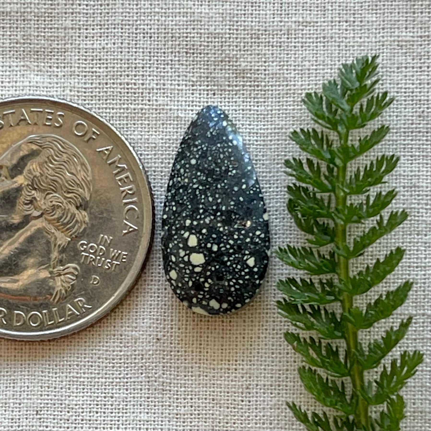 New Lander Variscite Teardrop Cabochon – The Family Stone Lapidary