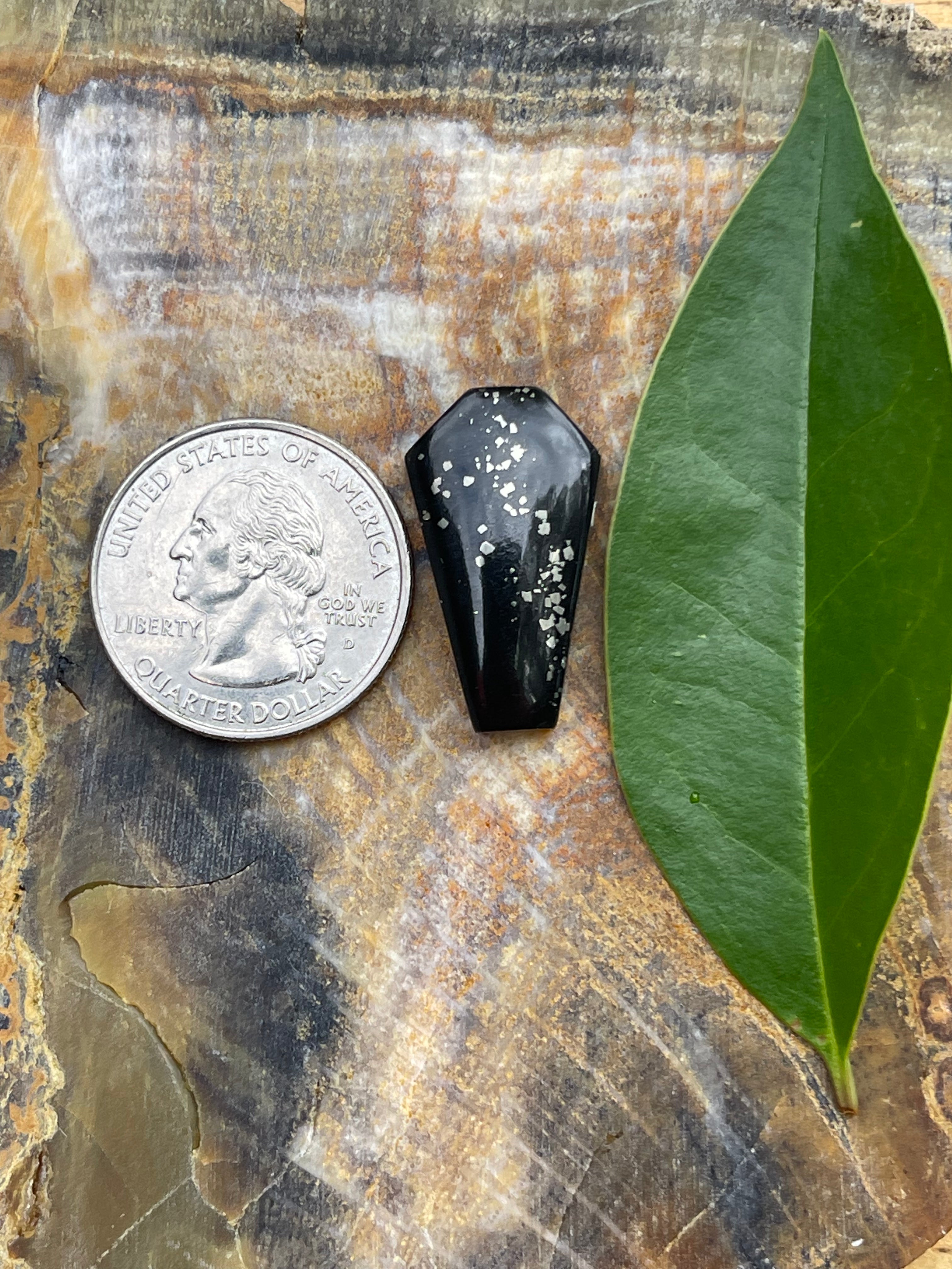 Schiffer Mit Pyrite Coffin Cabochon – The Family Stone Lapidary